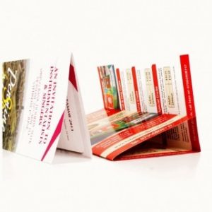 A3 Folded DL 4pp Brochure - Supercheap Printing and Distribution company in Australia